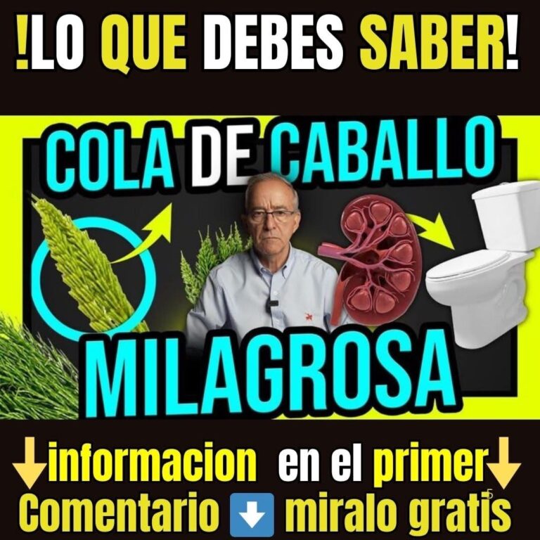 Salud prostática: claves prácticas para cuidar esta glándula esencial ...